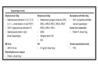 Superantigen | PPTX