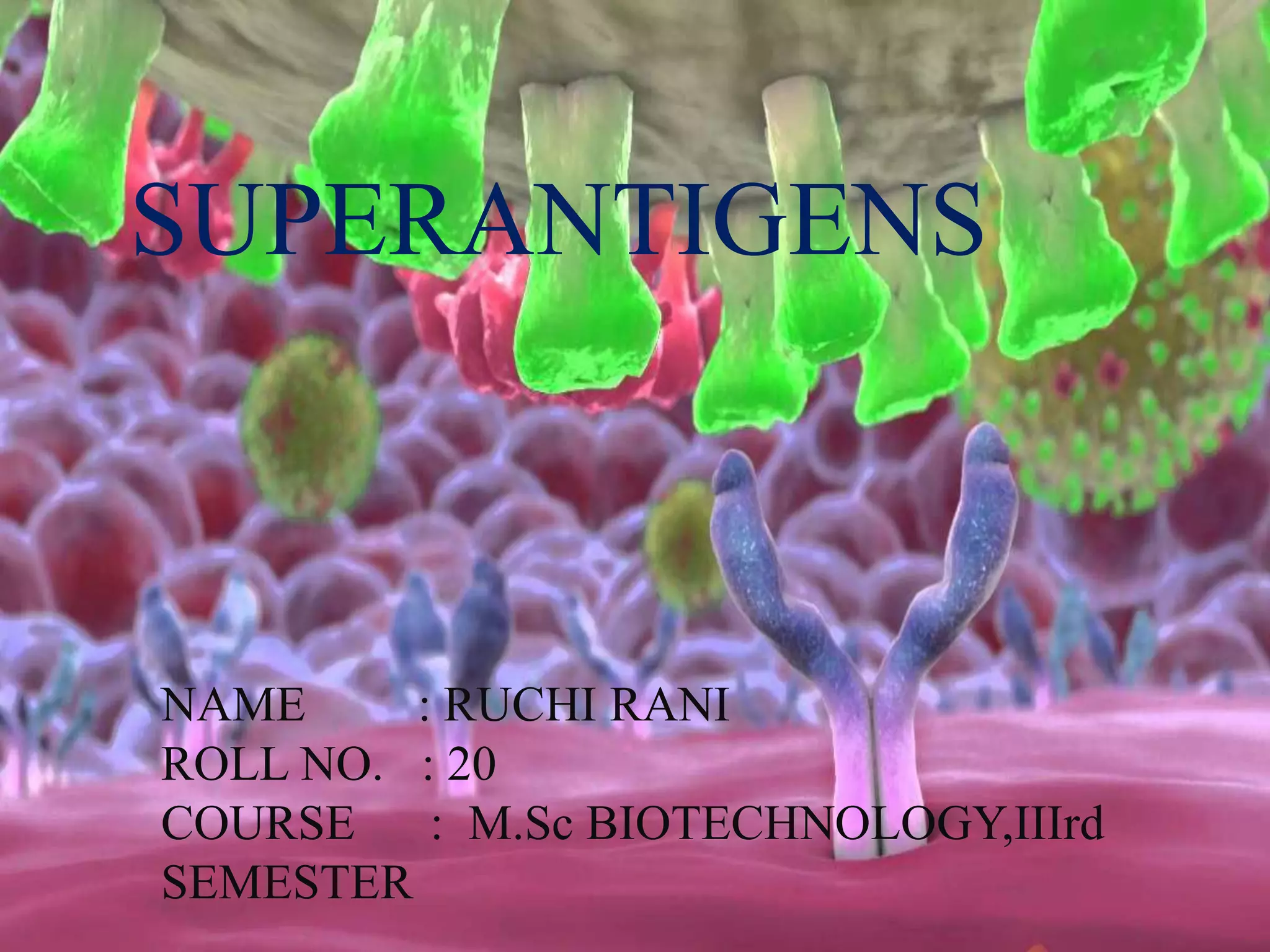 Superantigen | PPTX