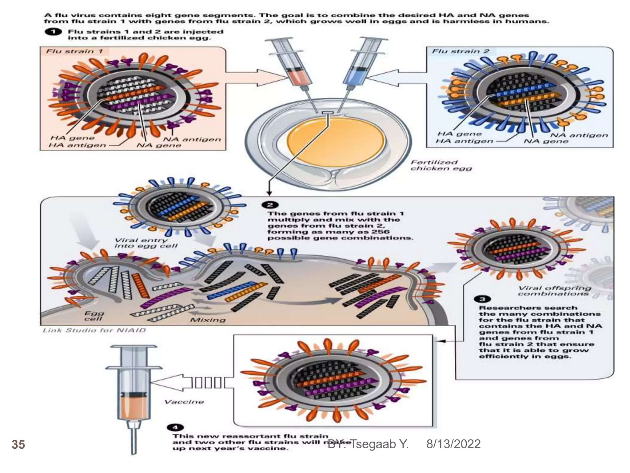 Immuno.pptx