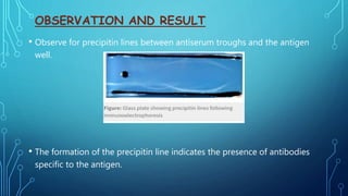 Immuno-diffusion & immuno electrophoresis.pptx