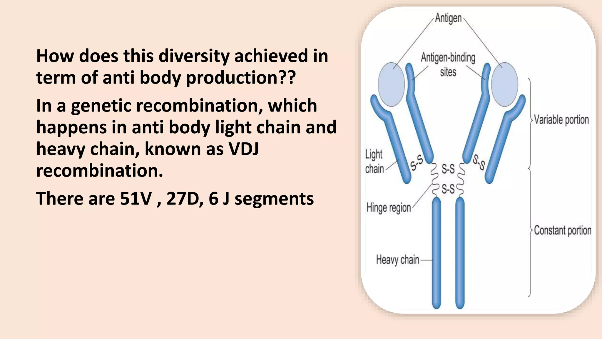 immuno-VDJ recombination.pptx