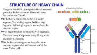 immuno-VDJ recombination.pptx