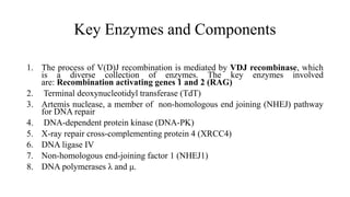 immuno-VDJ recombination.pptx