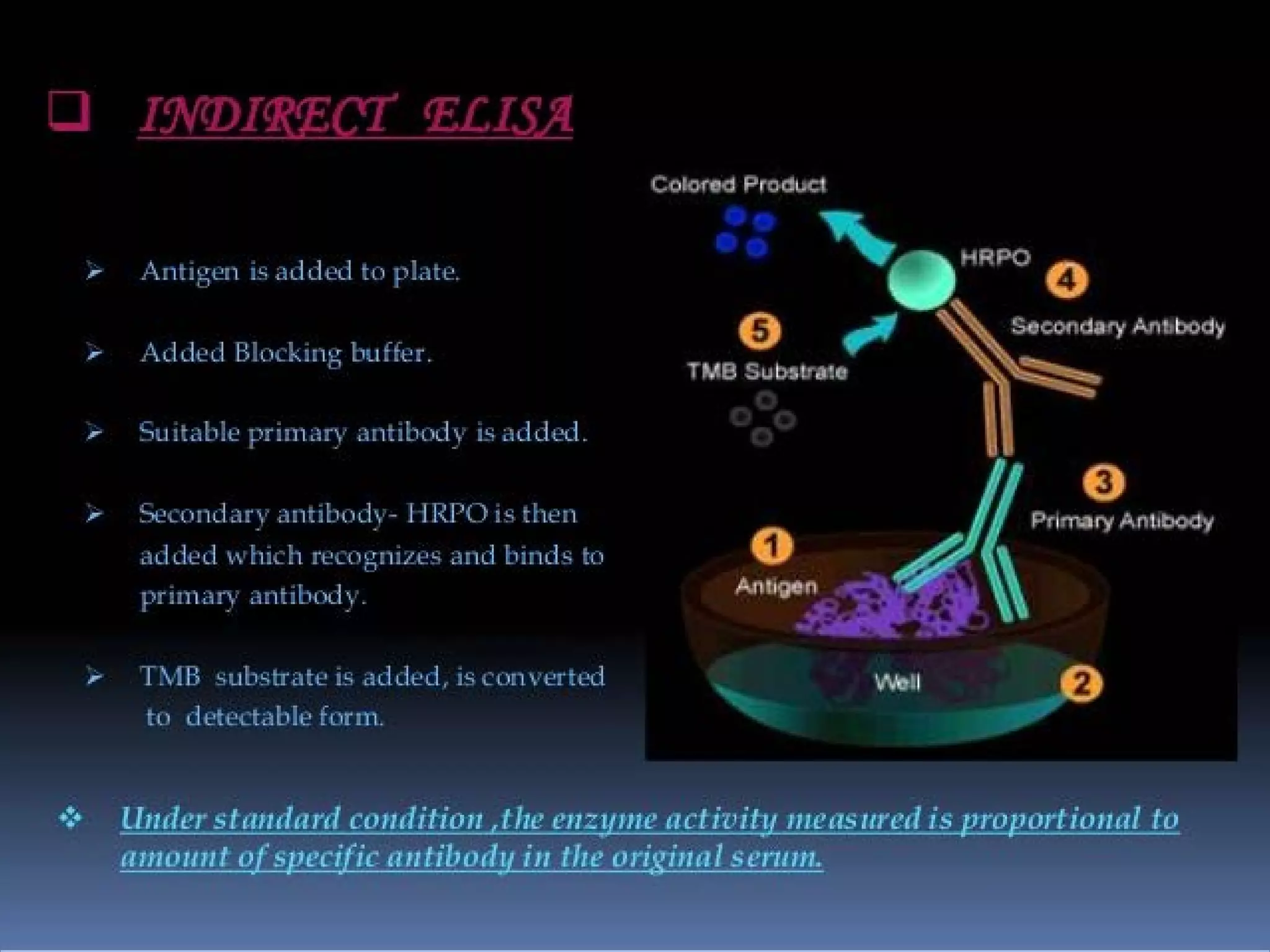 Assignment on General principles of Immunoassay | PDF
