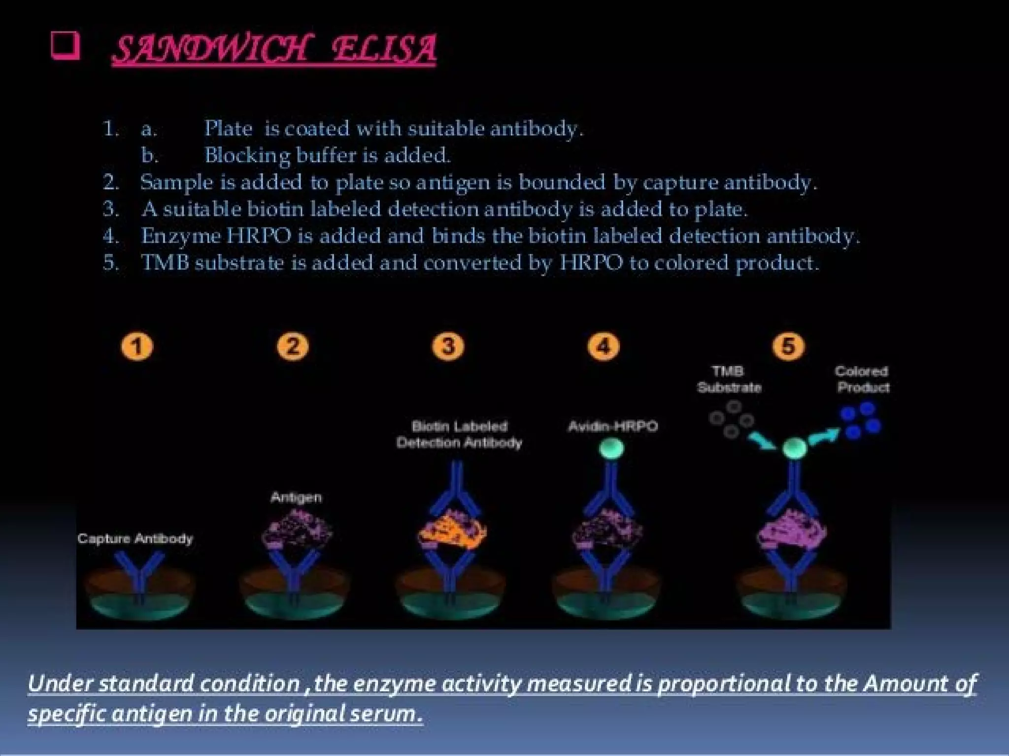Assignment on General principles of Immunoassay | PDF