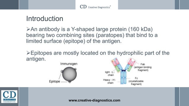 Immunoassay | PPTX | Medical Tests | Medical Health