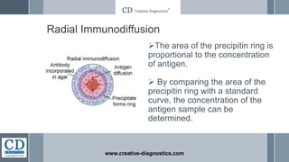 Immunoassay | PPTX | Medical Tests | Medical Health