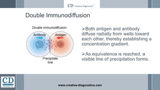 Immunoassay | PPTX | Medical Tests | Medical Health