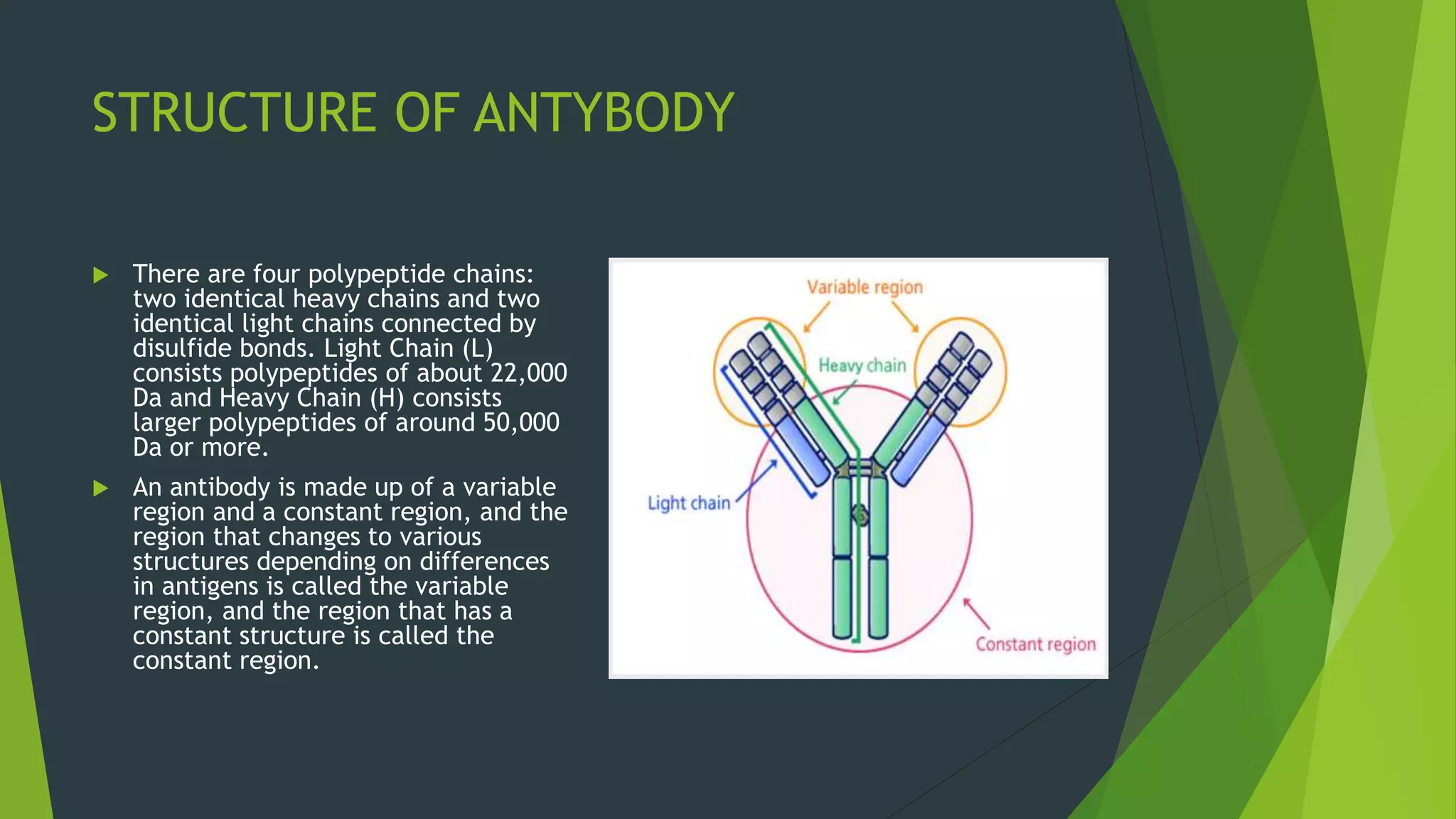 Immunoassay( theoretical basis and optimization of immunoassay) | PPTX