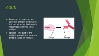 Immunoassay( theoretical basis and optimization of immunoassay) | PPTX