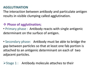 Immuno assay | PPTX