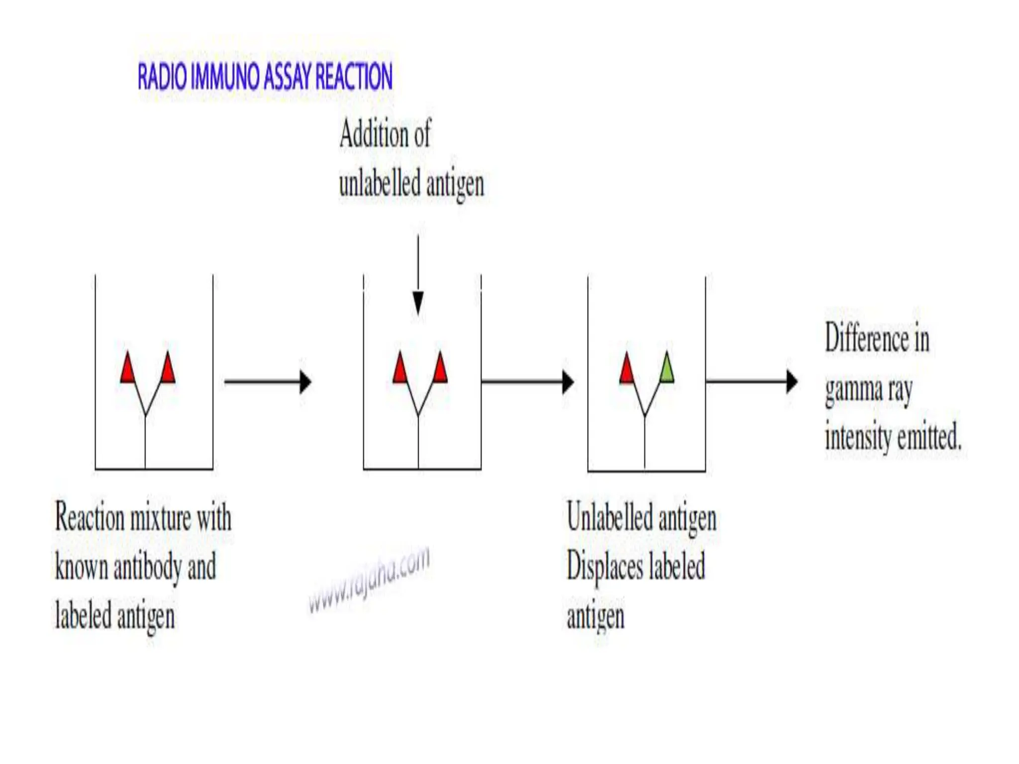Immunoassay ELISA_ppt.pptx