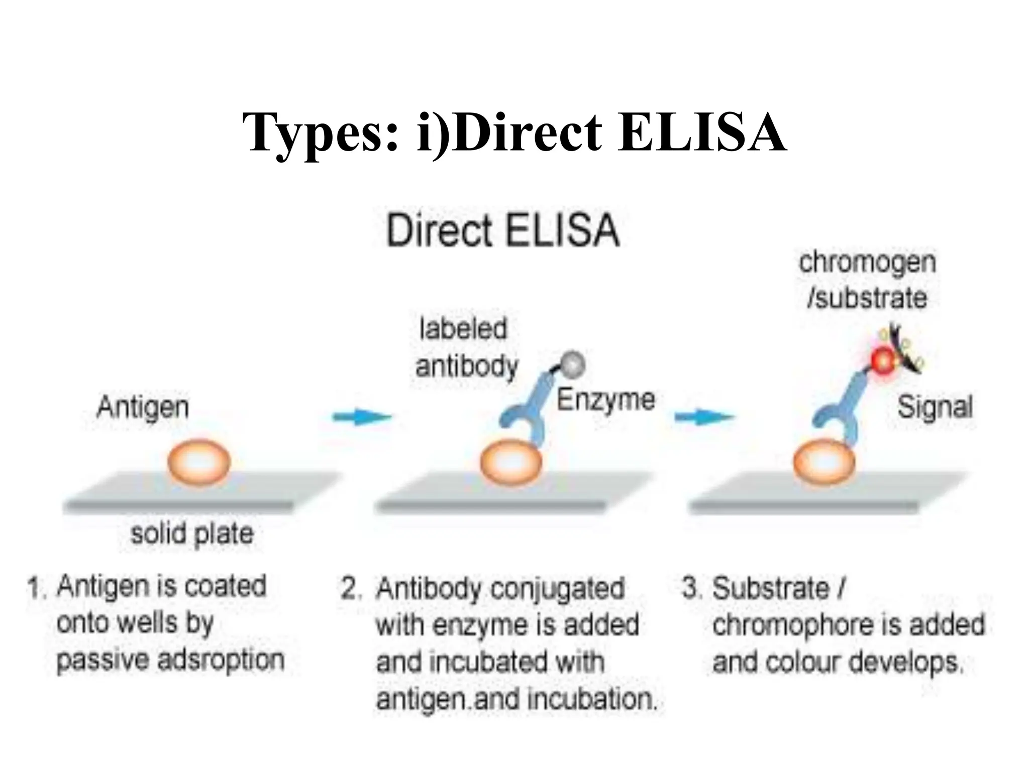 Immunoassay ELISA_ppt.pptx