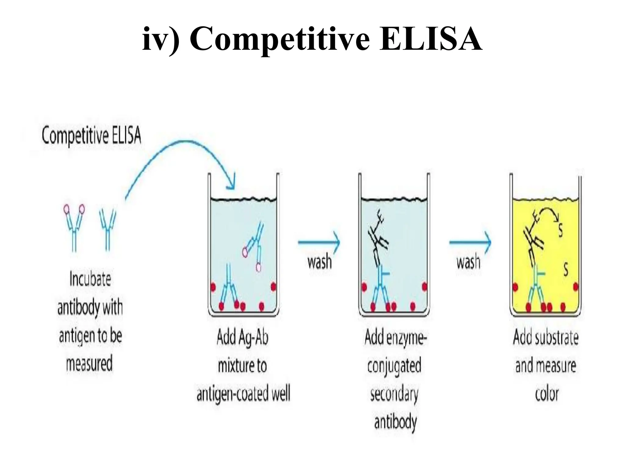 Immunoassay ELISA_ppt.pptx
