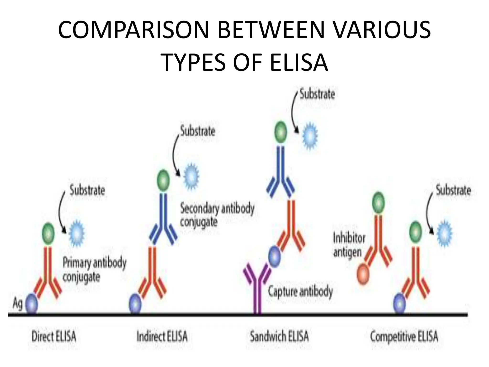 Immunoassay ELISA_ppt.pptx