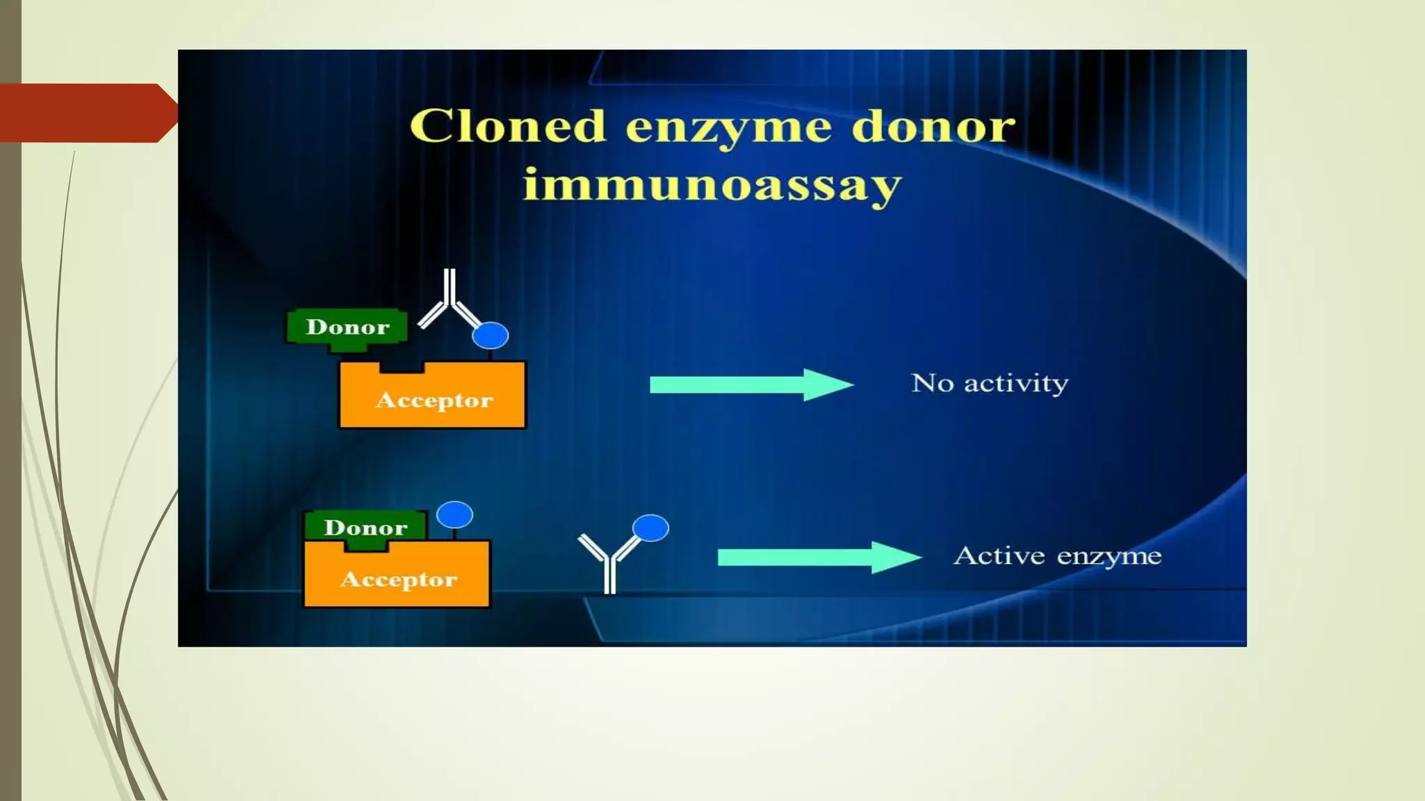 Immunoassay of digoxin | PPTX
