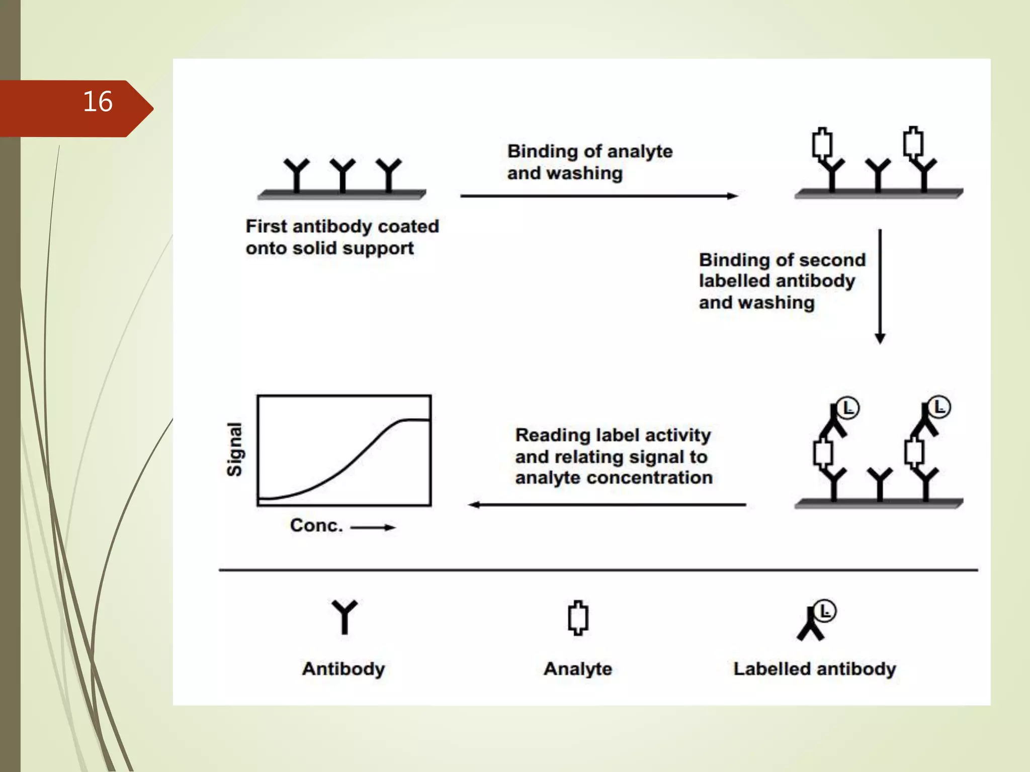 Immunoassay of digoxin | PPTX
