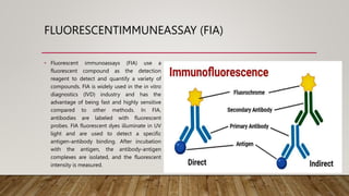 Theoretical Basis and Optimization of Immunoassay .pptx