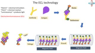 Immunoassay principles - Gideon Etowa | PPTX