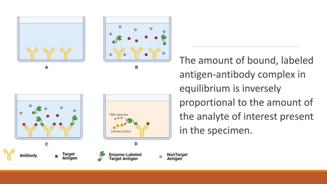 Immunoassay principles - Gideon Etowa | PPTX | Chemistry | Science