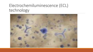 Immunoassay principles - Gideon Etowa | PPTX | Chemistry | Science