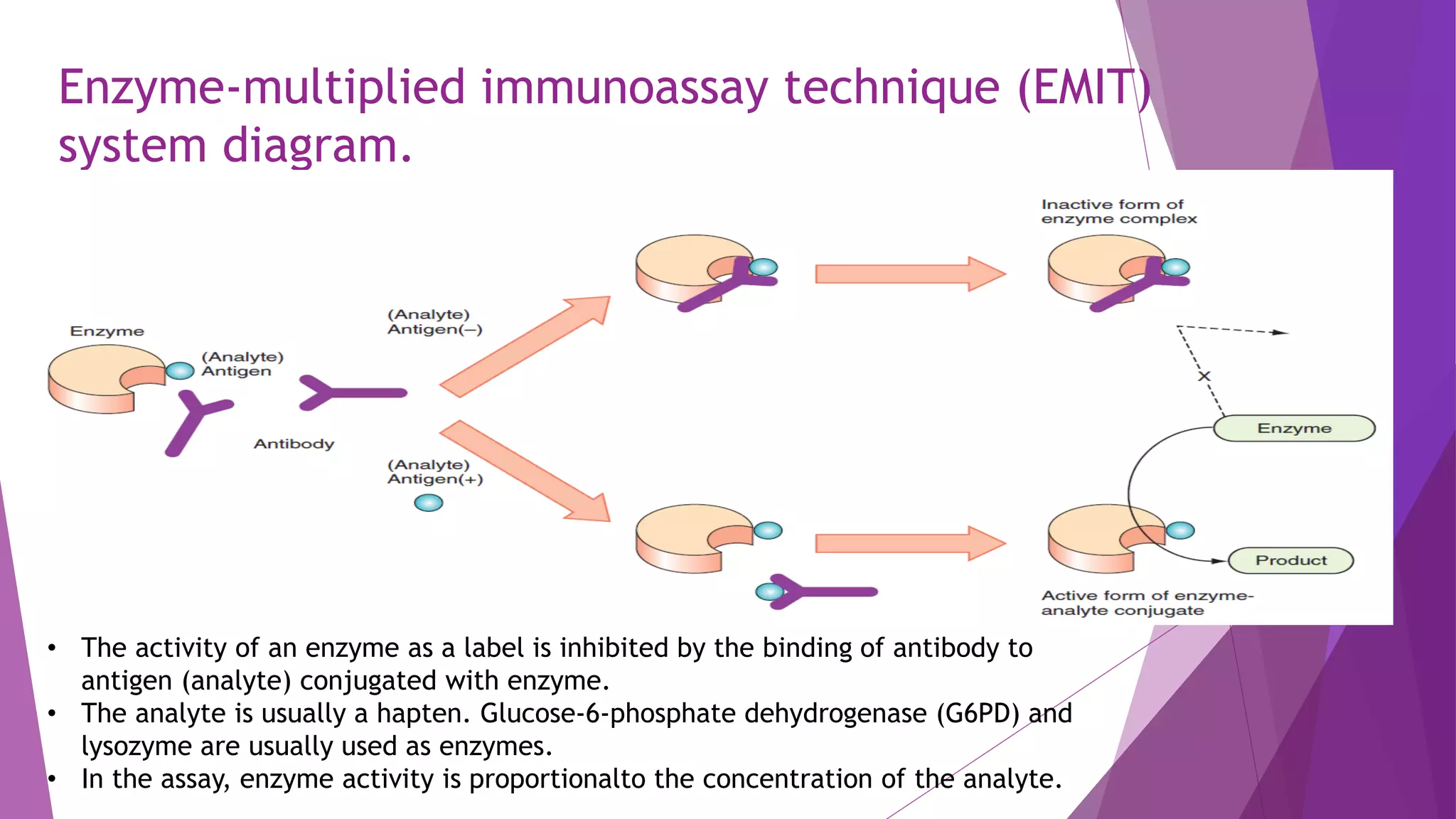 Immunoassays | PDF