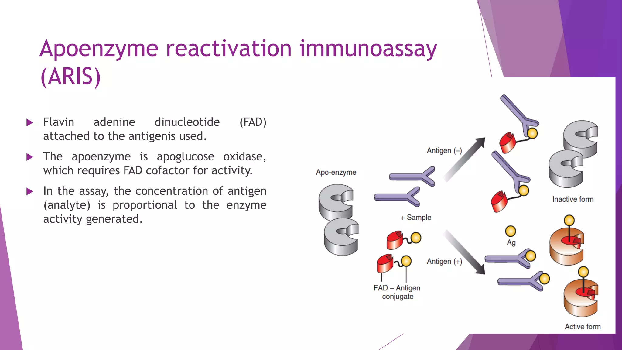 Immunoassays | PDF