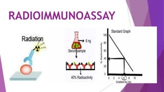 Immunoassays | PDF | Chemistry | Science