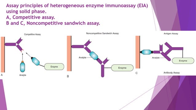 Immunoassays | PDF | Chemistry | Science