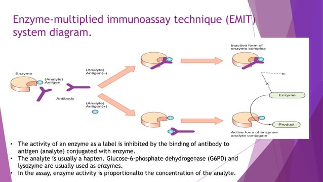 Immunoassays | PDF | Chemistry | Science