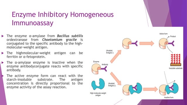 Immunoassays | PDF | Chemistry | Science