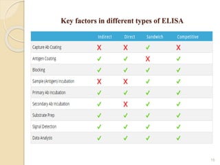 Immunoblotting | PPTX | Genetics | Science