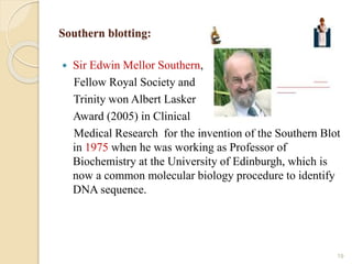 Immunoblotting | PPTX | Genetics | Science