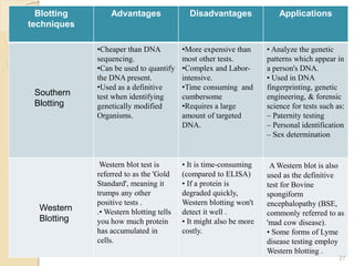 Immunoblotting | PPTX | Genetics | Science