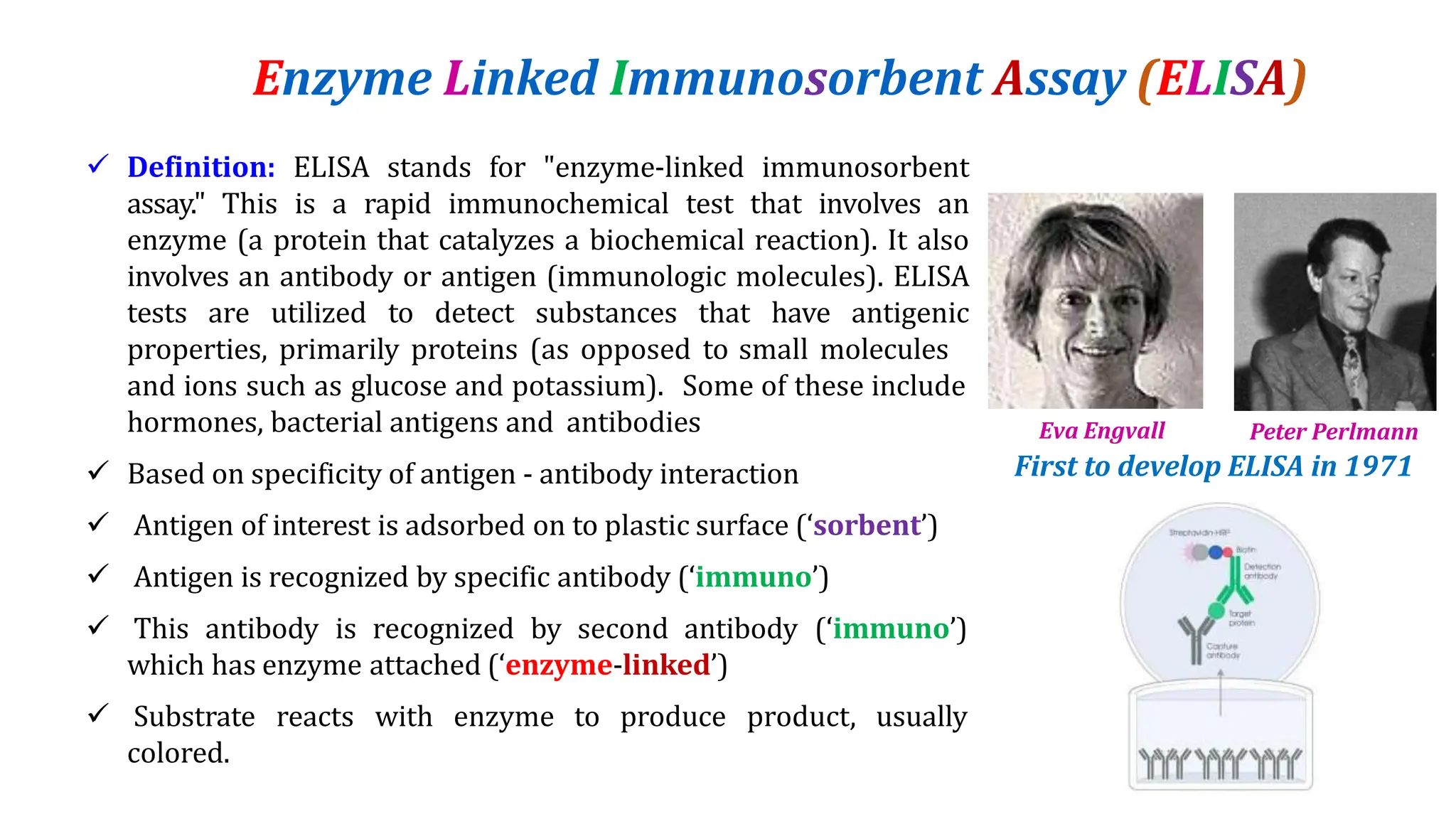 Immunoblotting-techniques-Class. Biotechnologypptx | PPTX