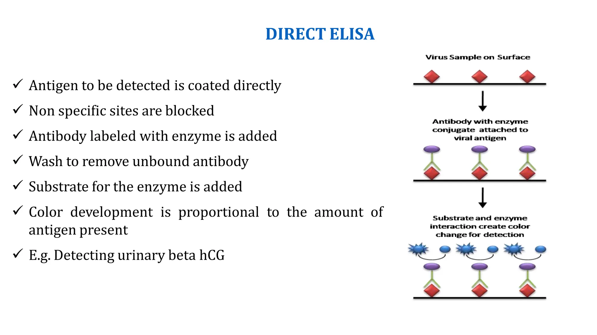 Immunoblotting-techniques-Class. Biotechnologypptx | PPTX