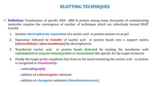 Immunoblotting-techniques-Class. Biotechnologypptx | PPTX