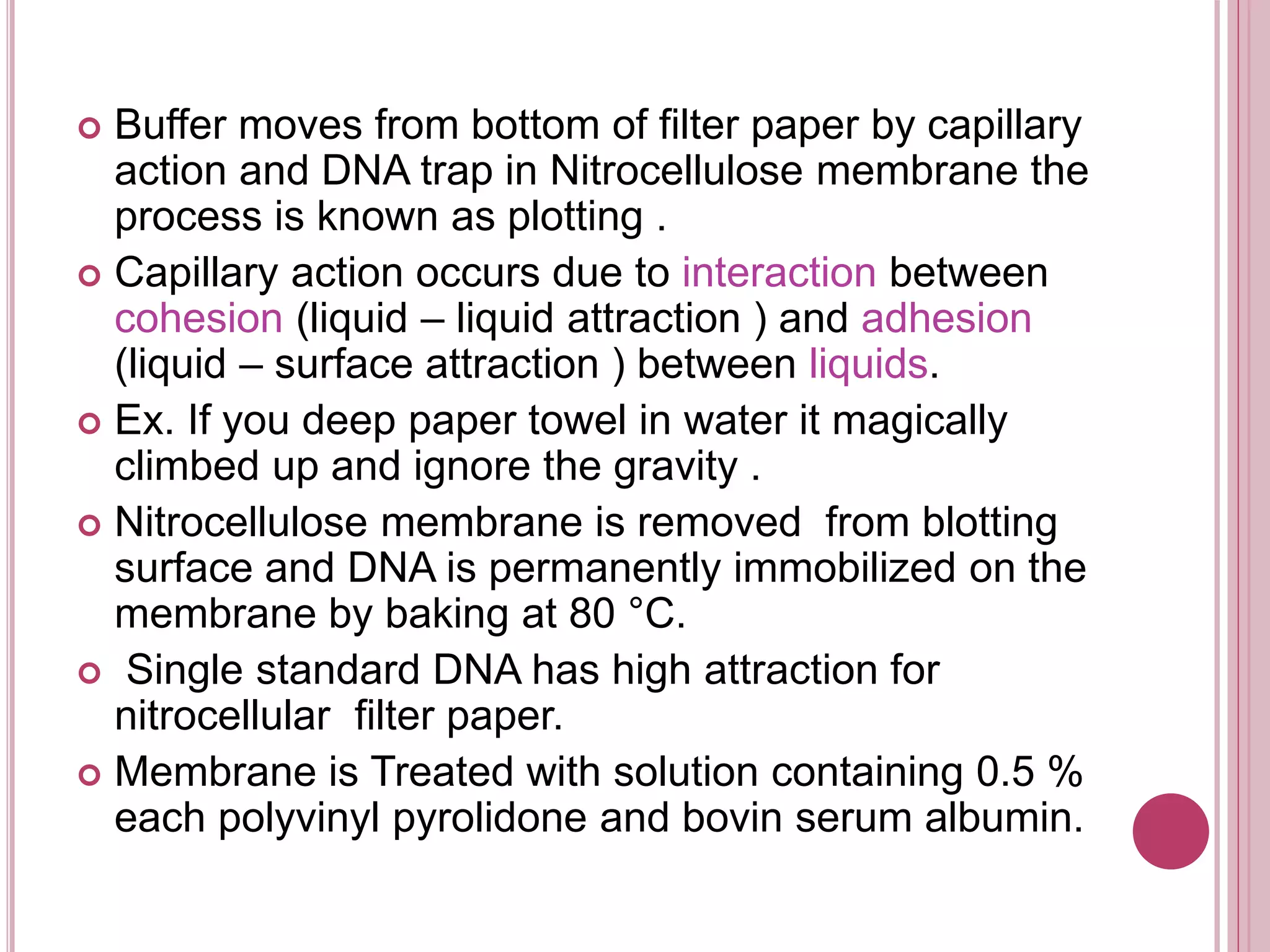 IMMUNOBLOTTING TECHNIQUE.pptx