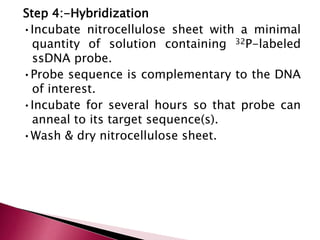 Immunoblotting techniques-ELISA, Western blotting, Southern blotting | PPTX