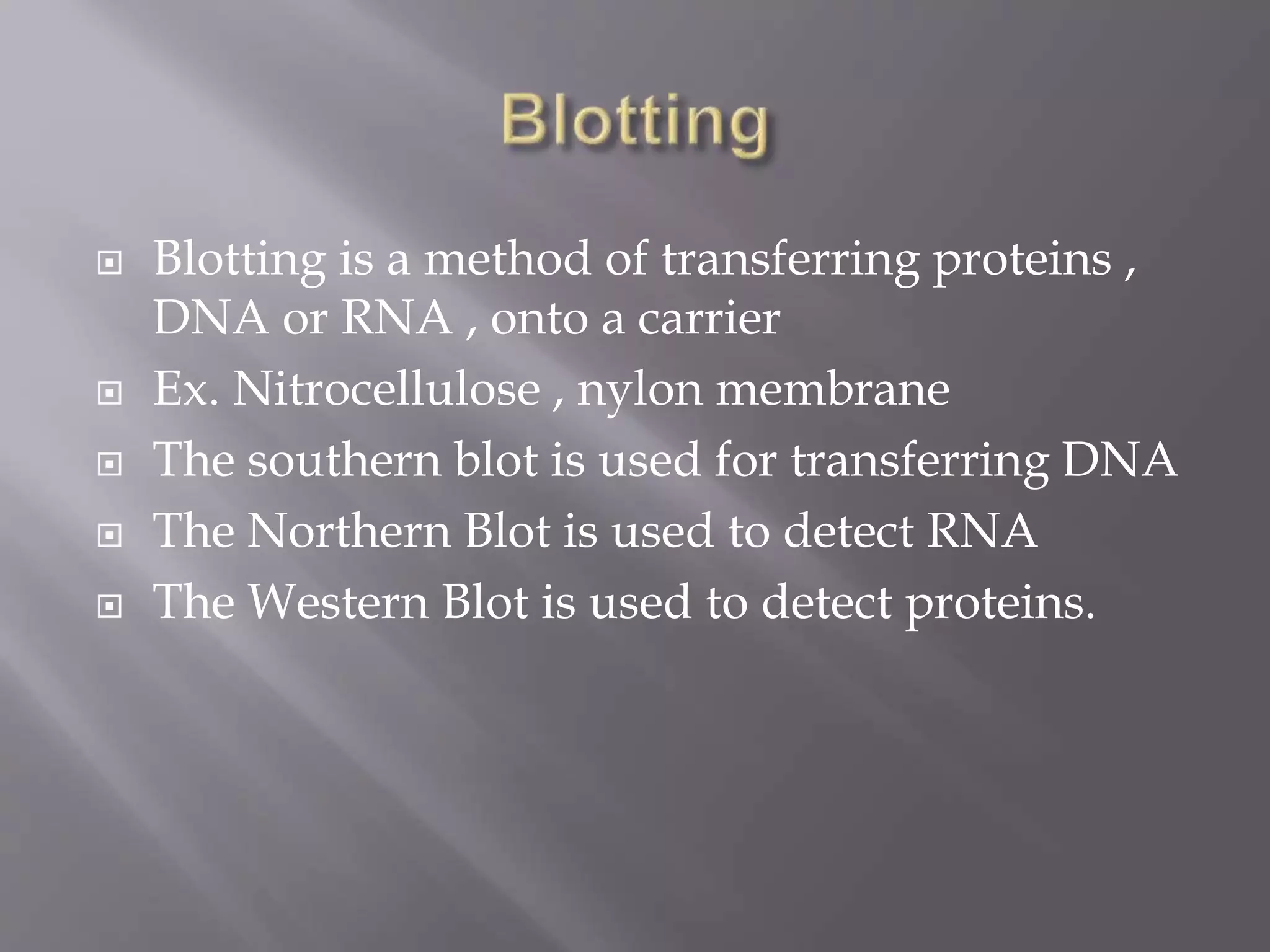 immunoblotting techniques.pptx