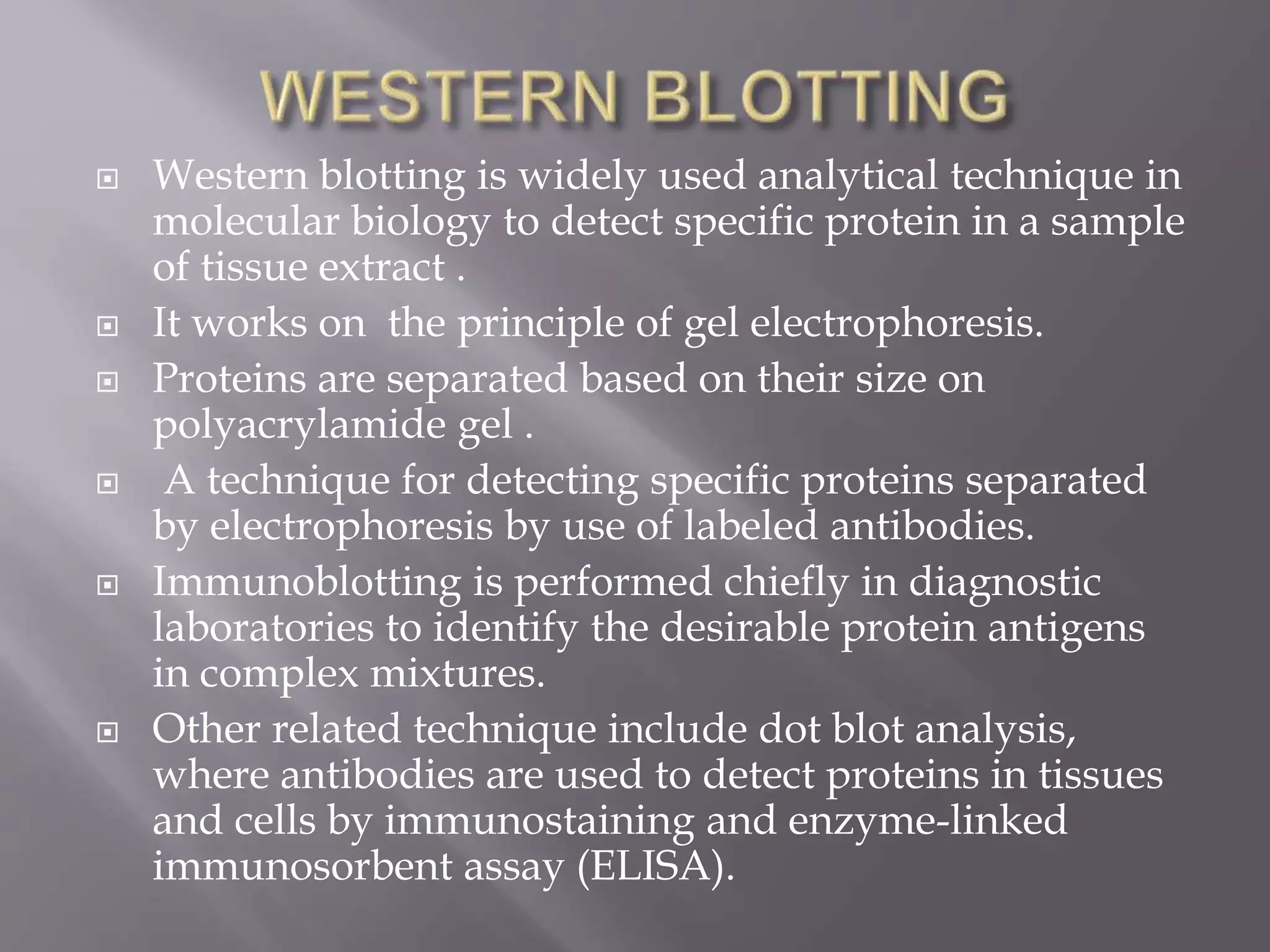 immunoblotting techniques.pptx