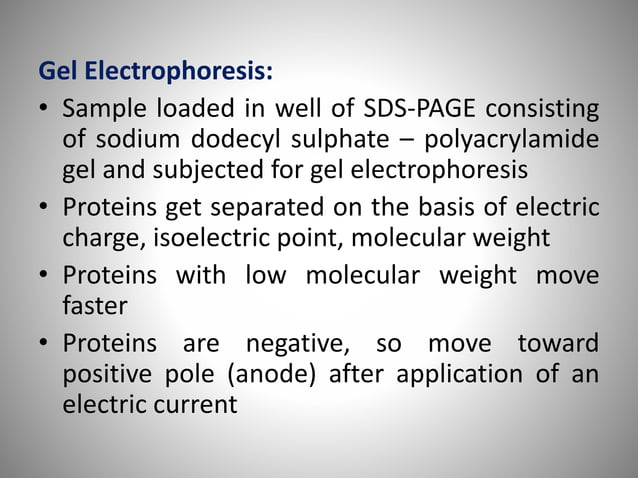 PRINCIPLE & APPLICATIONS OF IMMUNO BLOTTING TECHNIQUES.pptx PRINCIPLE & APPLICATIONS OF IMMUNO BLOTTING TECHNIQUES.pptx