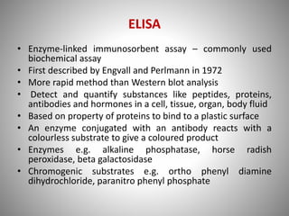 PRINCIPLE & APPLICATIONS OF IMMUNO BLOTTING TECHNIQUES.pptx