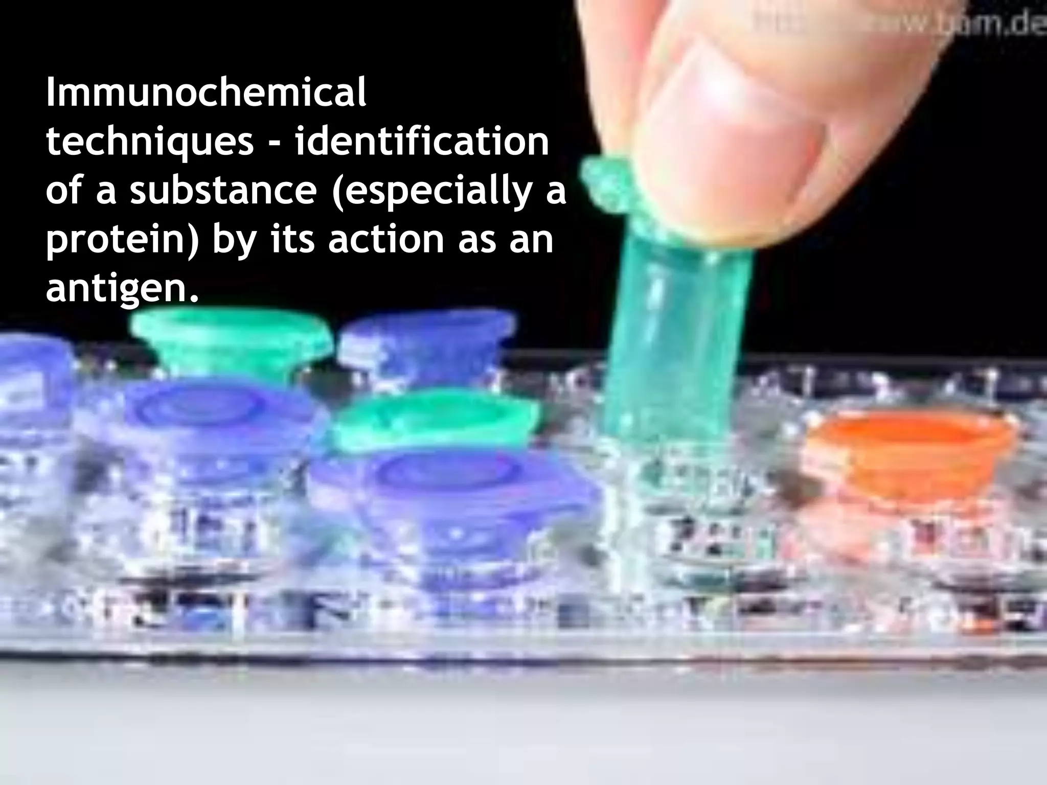 Immunochemicaltechniques | PPTX