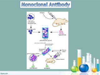 Immunochemicaltechniques | PPTX