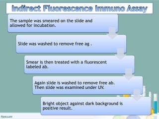 Immunochemicaltechniques | PPTX