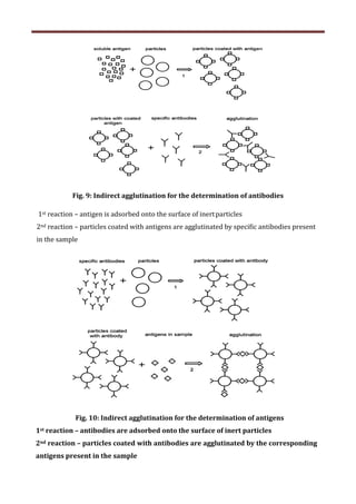 Immunochemical techniques] | PDF