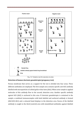 Immunochemical techniques] | PDF