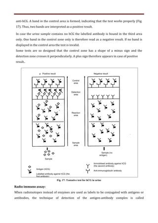 Immunochemical techniques] | PDF