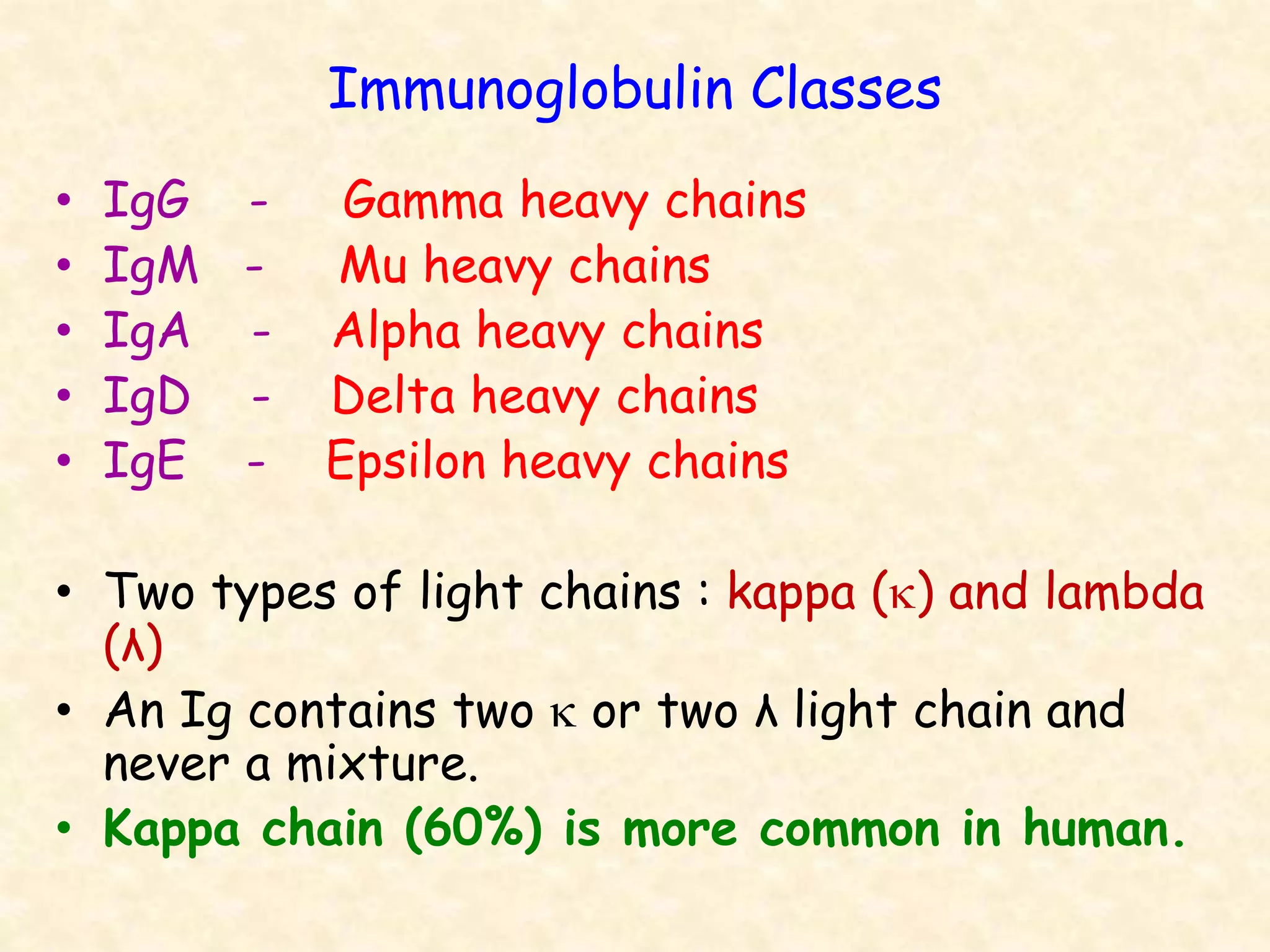 Immunoglobulins | PPSX